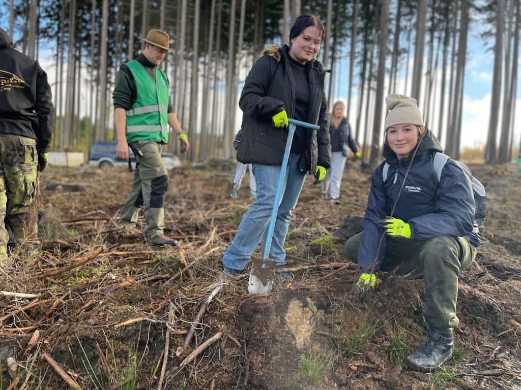 Lesní ekosystém aneb co dokáže jeden strom - Home for Trees