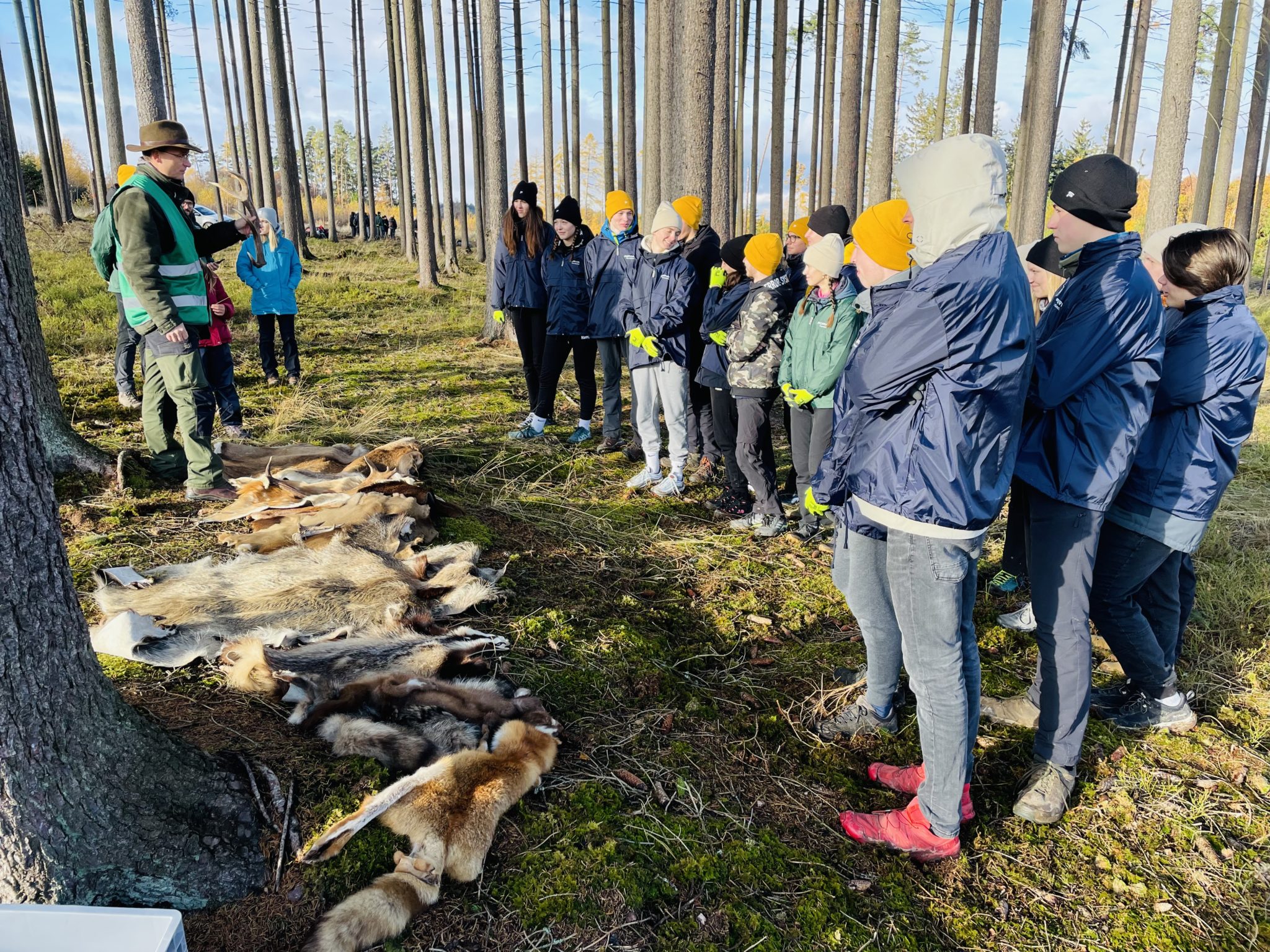 Lesní ekosystém aneb co dokáže jeden strom - Home for Trees