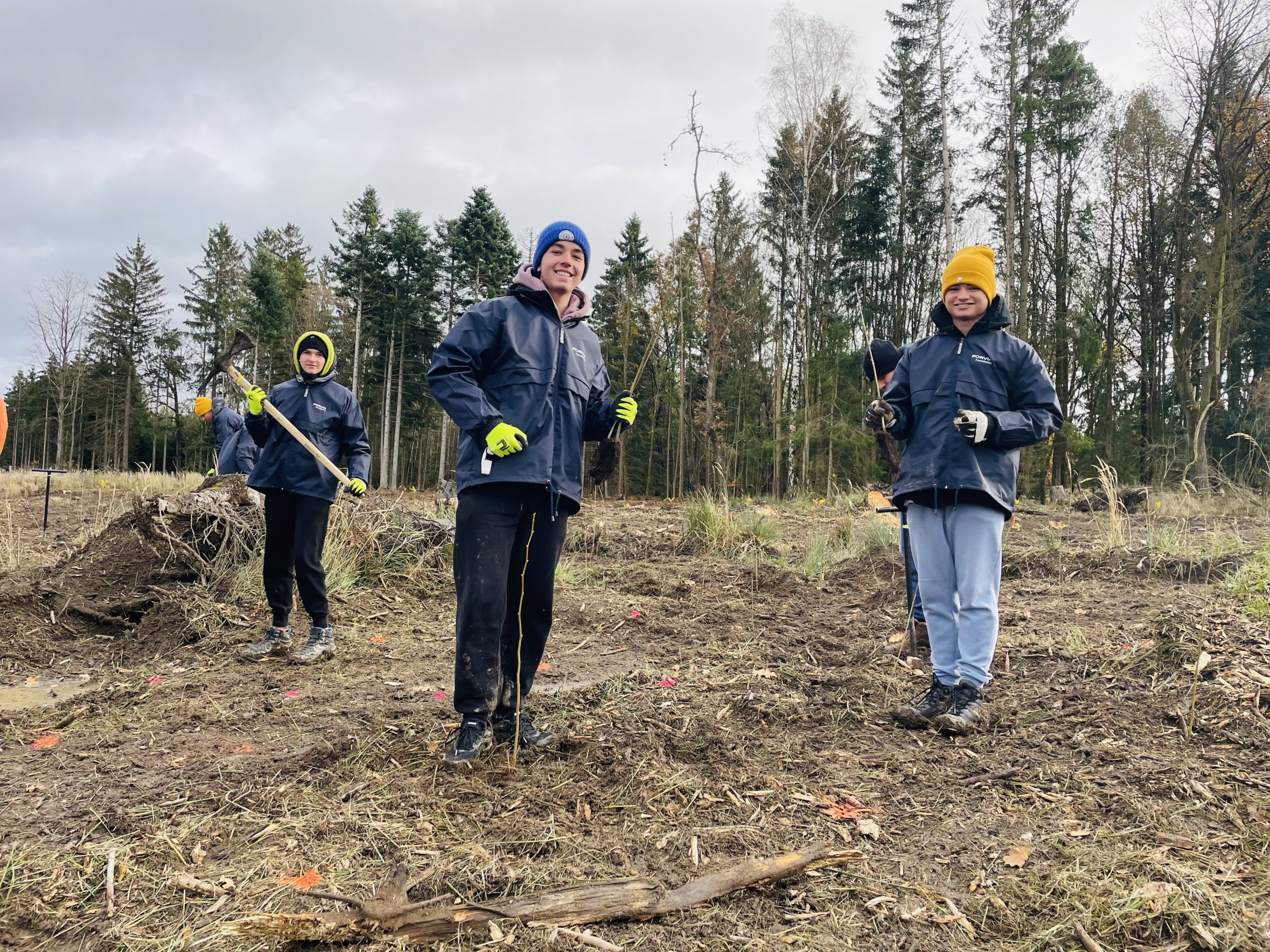 Lesní ekosystém aneb co dokáže jeden strom - Home for Trees
