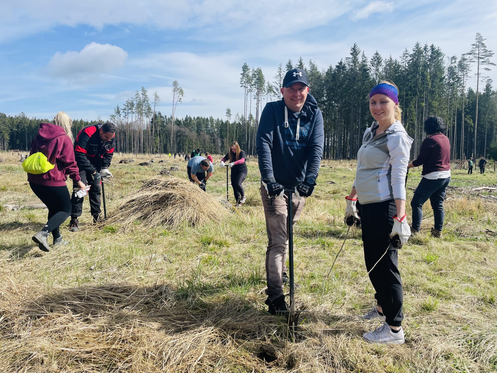 Lesní ekosystém aneb co dokáže jeden strom - Home for Trees