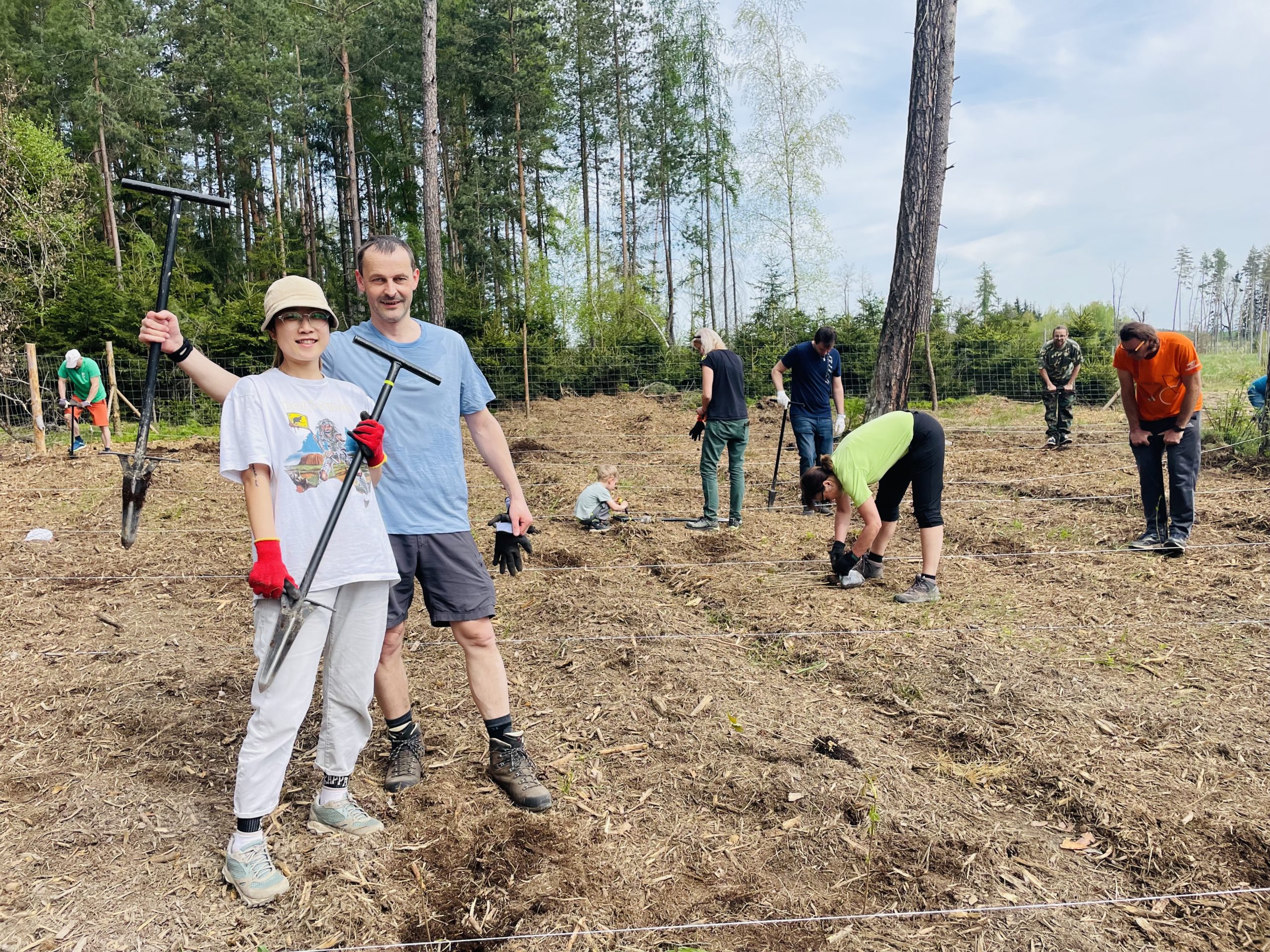 Lesní ekosystém aneb co dokáže jeden strom - Home for Trees